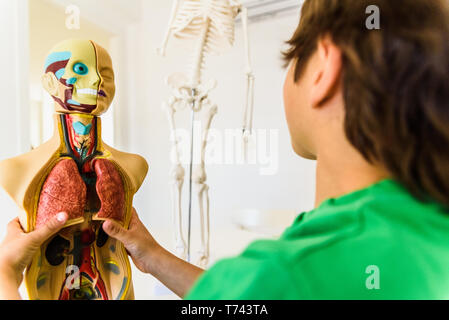 anatomy biology mannequin dummy figure in a science class or university ...