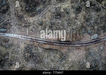 Flying above shocking deforestation, environmental destruction, Poland ...