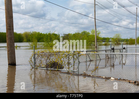 Illinois River cresting on Water Street in Peru, Illinois. May 3rd ...
