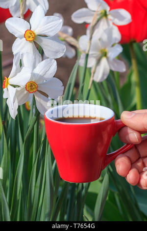 Cup of coffee and beautiful daffodils on color background Stock Photo ...