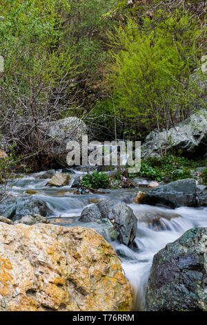 darakeh river, tehran, iran Stock Photo - Alamy