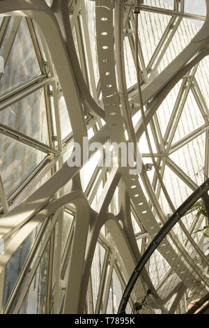 Amazon Spheres, glass domes built by Amazon.com, downtown Seattle ...