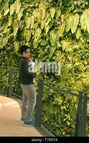 Amazon Spheres, glass domes built by Amazon.com, downtown Seattle ...