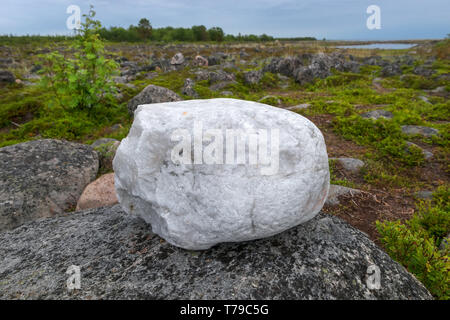 Large quartz boulder in the tundra on the shore of the White Sea Stock ...