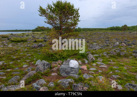 Large quartz boulder in the tundra on the shore of the White Sea Stock ...