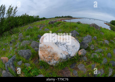 Large quartz boulder in the tundra on the shore of the White Sea Stock ...