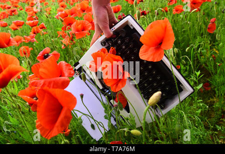 Poppy, new technology, Remembrance day Stock Photo - Alamy