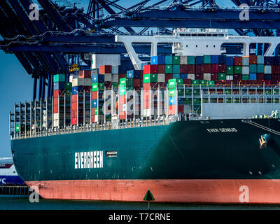 Evergreen container ship Ever Genius on the river Elbe Stock Photo - Alamy