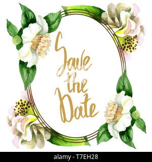 White camelia floral botanical flowers. Wild spring leaf wildflower ...