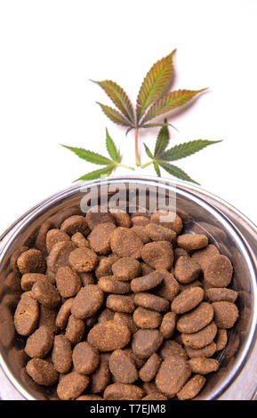 Dog treats and cannabis leaves isolated over white background - CBD and ...