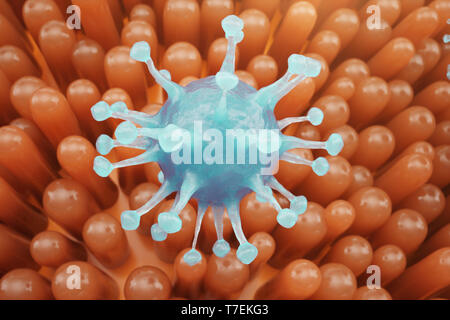 Helicobacter Pylori in the Human Stomach Viewed at 400x Magnification ...