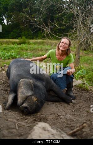 Woman farmer on her working pig farm, feeding heritage hog breed with ...