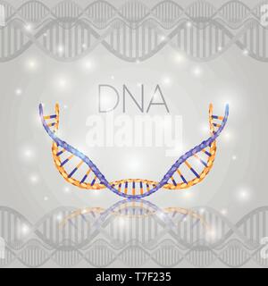 dna molecule half circle structure pattern Stock Vector Image & Art - Alamy