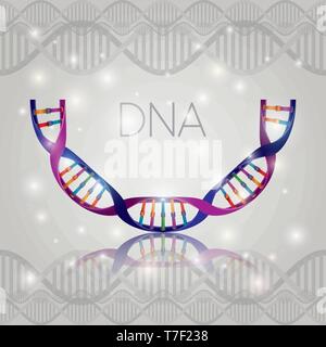dna molecule half circle structure pattern Stock Vector Image & Art - Alamy