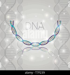 dna molecule half circle structure pattern Stock Vector Image & Art - Alamy