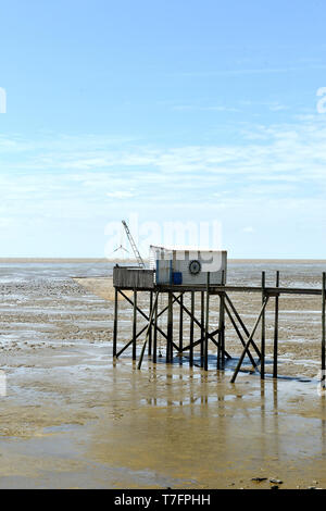 Yves (south-western France): fishing huts built on stilts and wooden ...