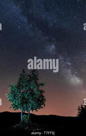 European Wild Pear and Milky Way, nocturnal landscape Stock Photo - Alamy