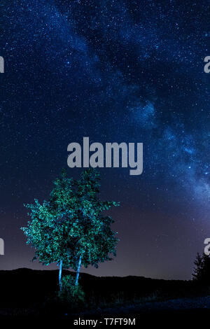 European Wild Pear and Milky Way, nocturnal landscape Stock Photo - Alamy