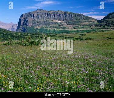 Heavy Runner Mountain at Logan Pass in Glacier National Park Stock ...
