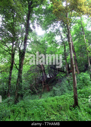 Nature reserve the Bemelerberg, Netherlands, Limburg, Bemelerberg Stock ...
