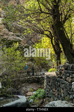 darakeh river, tehran, iran Stock Photo - Alamy