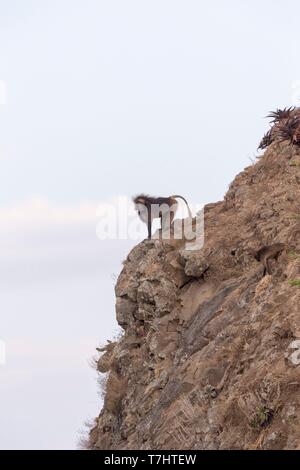 Night Sky Rift Valley Africa Stock Photo - Alamy