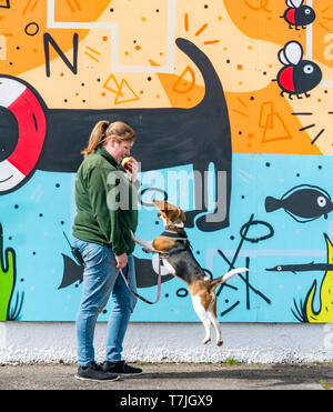 Edinburgh Dog & Cat Home mural unveiling by Studio N Name with beagles ...