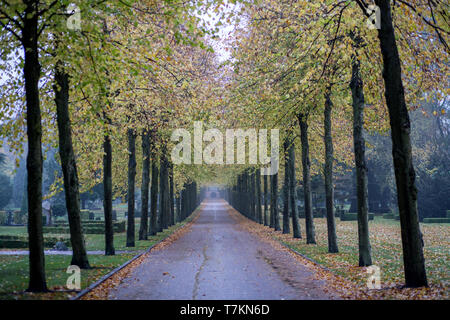 Autumn on Vestre Cemetery in Copenhagen Stock Photo - Alamy