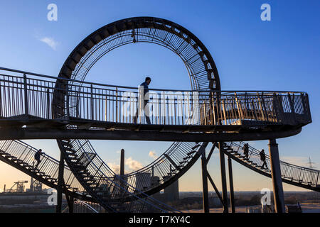Large-scale sculpture "Tiger & Turtle" - Magic Mountain designed by ...