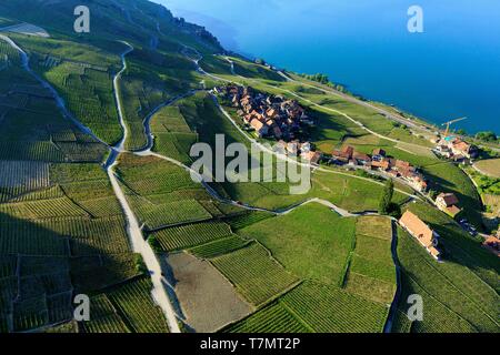 Epesses, Switzerland, Europe, canton Vaud, Lavaux, wine-growing area ...