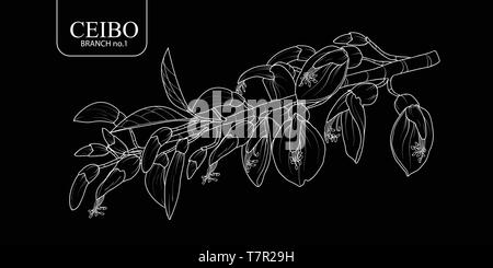 Cute hand drawn isolated Ceibo branch set 1. Flower vector illustration ...