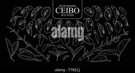 Cute hand drawn isolated Ceibo branch set 1. Flower vector illustration ...