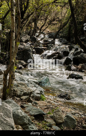 darakeh river, tehran, iran Stock Photo - Alamy