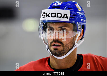 Bratislava, Slovakia. 08th May, 2019. Czech National Ice-hockey Team in ...