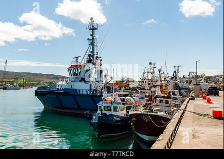 Castletownbere, West Cork, Ireland. 9th May, 2019. On a stunning day in ...
