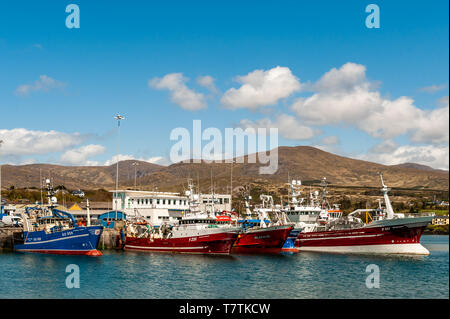 Castletownbere, West Cork, Ireland. 9th May, 2019. On a stunning day in ...