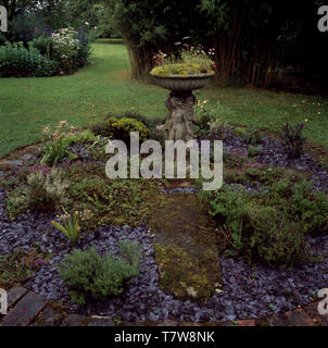 Stone birdbath planted with saxifrage in herb bed with slate paving ...