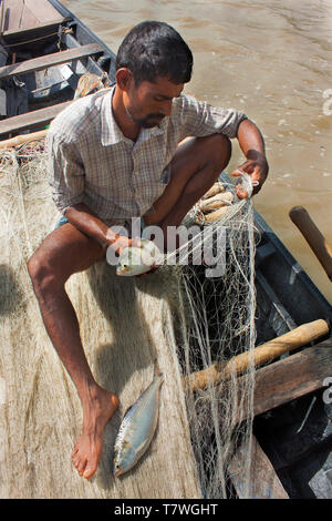 Hilsha fishing at the Rupsa River. Hilsha fish is the national fish of ...