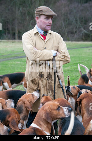 The Huntsman of the Duke of Northumberland's, Percy Hunt Stock Photo ...