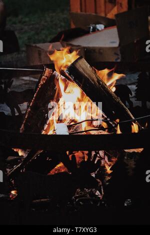 Making smores over a campfire Stock Photo - Alamy