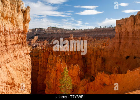 Rock formations at the Bryce Amphitheater viewed from Sunset Point ...