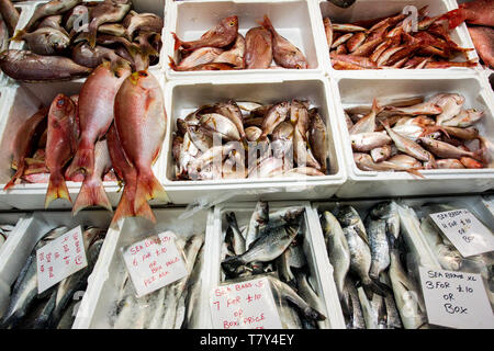 Fresh Fish at Billingsgate Market, Isle of Dogs, London, England, UK ...