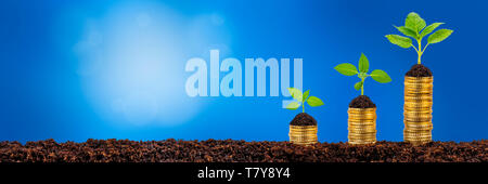 Coins stack of money and growing plant, financial concept Stock Photo ...