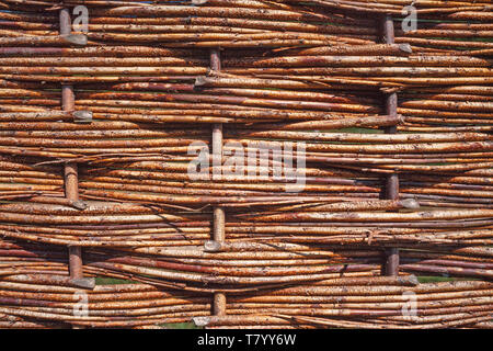 Woven fence made from hazel rods, reconstructed Viking settlement ...