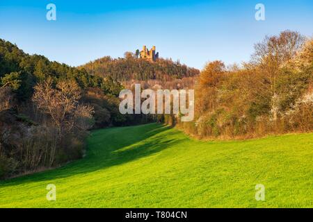 Ruin of Hanstein Castle in spring, Bornhagen, Eichsfeld, Thuringia ...