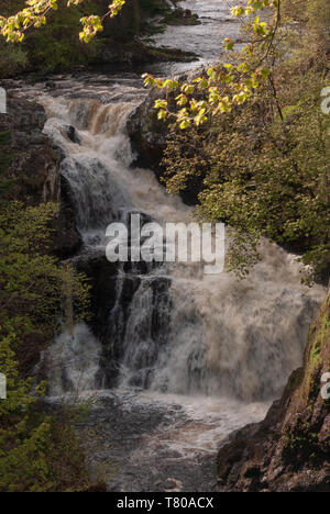 The Reekie Linn waterfall on the River Isla, Perthshire, Scotland, in ...