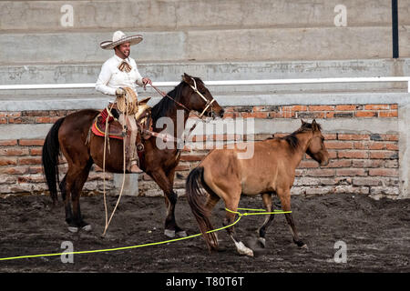 Eight-year-old Juan Franco, from the legendary Franco family of Charro ...