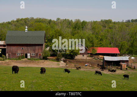 Farm Scene, Minnesota USA Stock Photo: 19477040 - Alamy