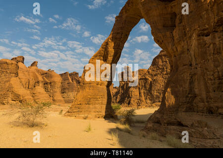 Elephant arch, Ennedi region, Chad Stock Photo - Alamy