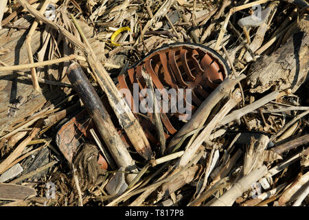 Used old shoe washed up on the shore of a beach, highlighting the ...